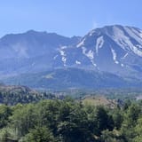 Hummocks Trail, Washington - 1,137 Reviews, Map | AllTrails