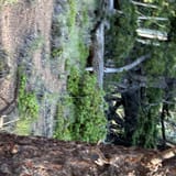 Barr Camp via Barr Trail, Colorado - 1,427 Reviews, Map | AllTrails