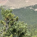 Barr Camp via Barr Trail, Colorado - 1,427 Reviews, Map | AllTrails