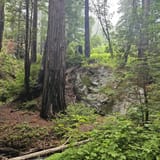 Tanbark Trail and Tin House Loop, California - 1,411 Reviews, Map ...