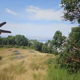 Tanbark Trail and Tin House Loop, California - 1,411 Reviews, Map ...