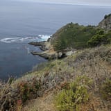 Tanbark Trail and Tin House Loop, California - 1,411 Reviews, Map ...