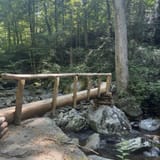 Ramsey Cascades Trail, Tennessee - 2,495 Reviews, Map | AllTrails