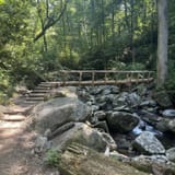 Ramsey Cascades Trail, Tennessee - 2,495 Reviews, Map | AllTrails