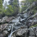 Ramsey Cascades Trail, Tennessee - 2,495 Reviews, Map | AllTrails