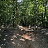 Forty Acre Rock Trail, South Carolina - 518 Reviews, Map | AllTrails