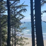 Cape Falcon Trail, Oregon - 4,133 Reviews, Map | AllTrails