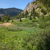 Booth Lake Trail, Colorado - 1,158 Reviews, Map | AllTrails