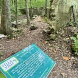 Tanyard Perimeter Loop, Arkansas - 3,035 Reviews, Map | AllTrails