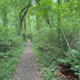 Tanyard Perimeter Loop, Arkansas - 3,035 Reviews, Map | AllTrails