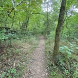 Tanyard Perimeter Loop, Arkansas - 3,035 Reviews, Map | AllTrails