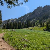 Booth Lake Trail, Colorado - 1,158 Reviews, Map | AllTrails