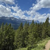 Castle Mountain Lookout Trail, Alberta, Canada - 2,151 Reviews, Map ...
