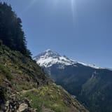 Bald Mountain from Lolo Pass Trail, Oregon - 1,967 Reviews, Map | AllTrails