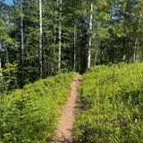 Lester River Trail and Amity East, Minnesota - 998 Reviews, Map | AllTrails