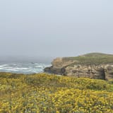 Point Buchon Trail, California - 608 Reviews, Map | AllTrails