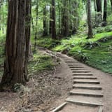 Fern Creek, Lost, and Canopy Trail Loop, California - 2,911 Reviews ...