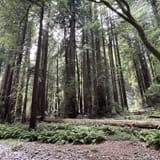 Fern Creek, Lost, and Canopy Trail Loop, California - 2,911 Reviews ...