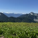 Johnson Ridge Trail, Washington - 291 Reviews, Map | AllTrails