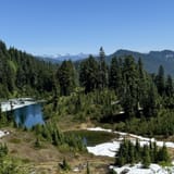 Johnson Ridge Trail, Washington - 291 Reviews, Map | AllTrails