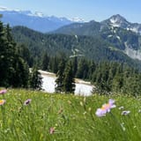 Johnson Ridge Trail, Washington - 291 Reviews, Map | AllTrails