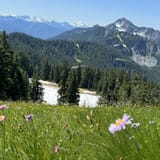 Johnson Ridge Trail, Washington - 291 Reviews, Map | AllTrails