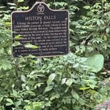 Hilton Falls Trail, Ontario, Canada - 2,698 Reviews, Map | AllTrails