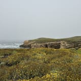 Point Buchon Trail, California - 608 Reviews, Map | AllTrails