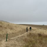 Point Buchon Trail, California - 608 Reviews, Map | AllTrails