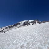 Muir Snowfield Ski Tour, Washington - 1,607 Reviews, Map | AllTrails