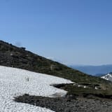 Muir Snowfield Ski Tour, Washington - 1,607 Reviews, Map | AllTrails