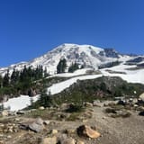 Muir Snowfield Ski Tour, Washington - 1,607 Reviews, Map | AllTrails