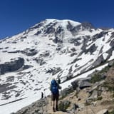 Muir Snowfield Ski Tour, Washington - 1,607 Reviews, Map | AllTrails