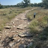 Gorman Falls Trail, Texas - 1,156 Reviews, Map | AllTrails