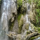 Gorman Falls Trail, Texas - 1,156 Reviews, Map | AllTrails