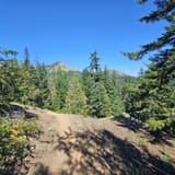 Cone Peak Trail, Oregon - 804 Reviews, Map | AllTrails