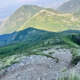 Provo Peak Trail, Utah - 181 Reviews, Map | AllTrails