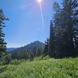 Cone Peak Trail, Oregon - 804 Reviews, Map | AllTrails