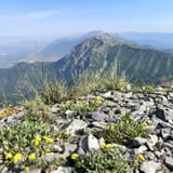 Provo Peak Trail, Utah - 181 Reviews, Map | AllTrails