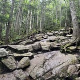 Mount Avalon, New Hampshire - 895 Reviews, Map | AllTrails
