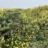 Tomales Point Trail, California - 7,214 Reviews, Map | AllTrails