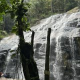 Lata Gapi Waterfall, Selangor, Malaysia - 255 Reviews, Map | AllTrails