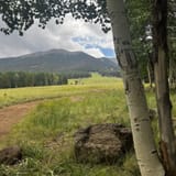 Aspen Nature Loop, Arizona - 2,366 Reviews, Map | AllTrails