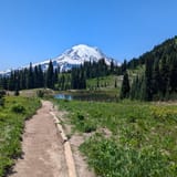 Tipsoo Lake to Dewey Lake Loop, Washington - 733 Reviews, Map | AllTrails