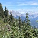 Wind Ridge Trail, Alberta, Canada - 1,332 Reviews, Map | AllTrails