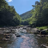 Hamilton Falls Trail, Vermont - 687 Reviews, Map | AllTrails