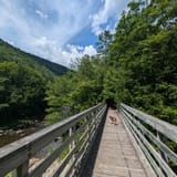 Hamilton Falls Trail, Vermont - 687 Reviews, Map | AllTrails