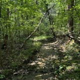 Paw Paw and Chinkapin Trail Loop, Kentucky - 504 Reviews, Map | AllTrails