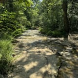 Paw Paw and Chinkapin Trail Loop, Kentucky - 504 Reviews, Map | AllTrails