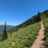 Crystal Peak Trail, Washington - 827 Reviews, Map | AllTrails